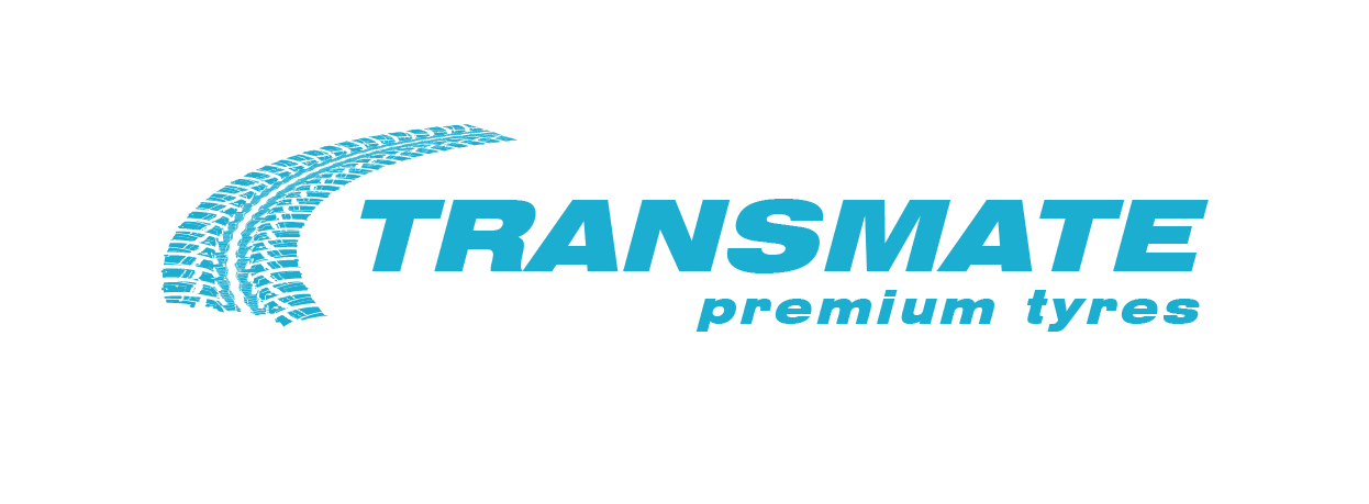 Transmate 205/50 R17 93W Transerenus Eco 2025